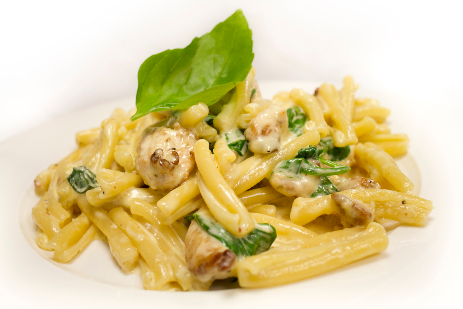 Nonna’s Leftover Turkey Pasta - Graham's Family Dairy